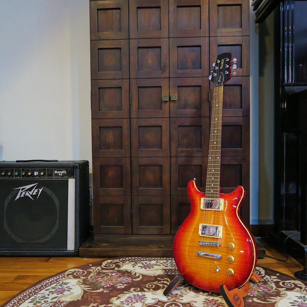 Fender Telecaster MIM – myO'things